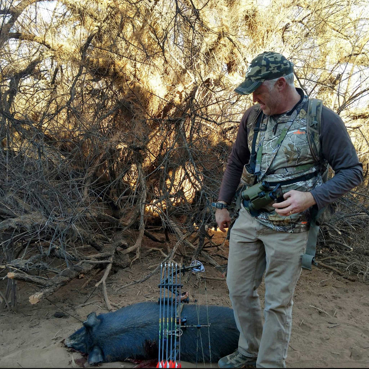 Hog Hunt - Under 300 lbs – Blue Rooster Hunting Ranch