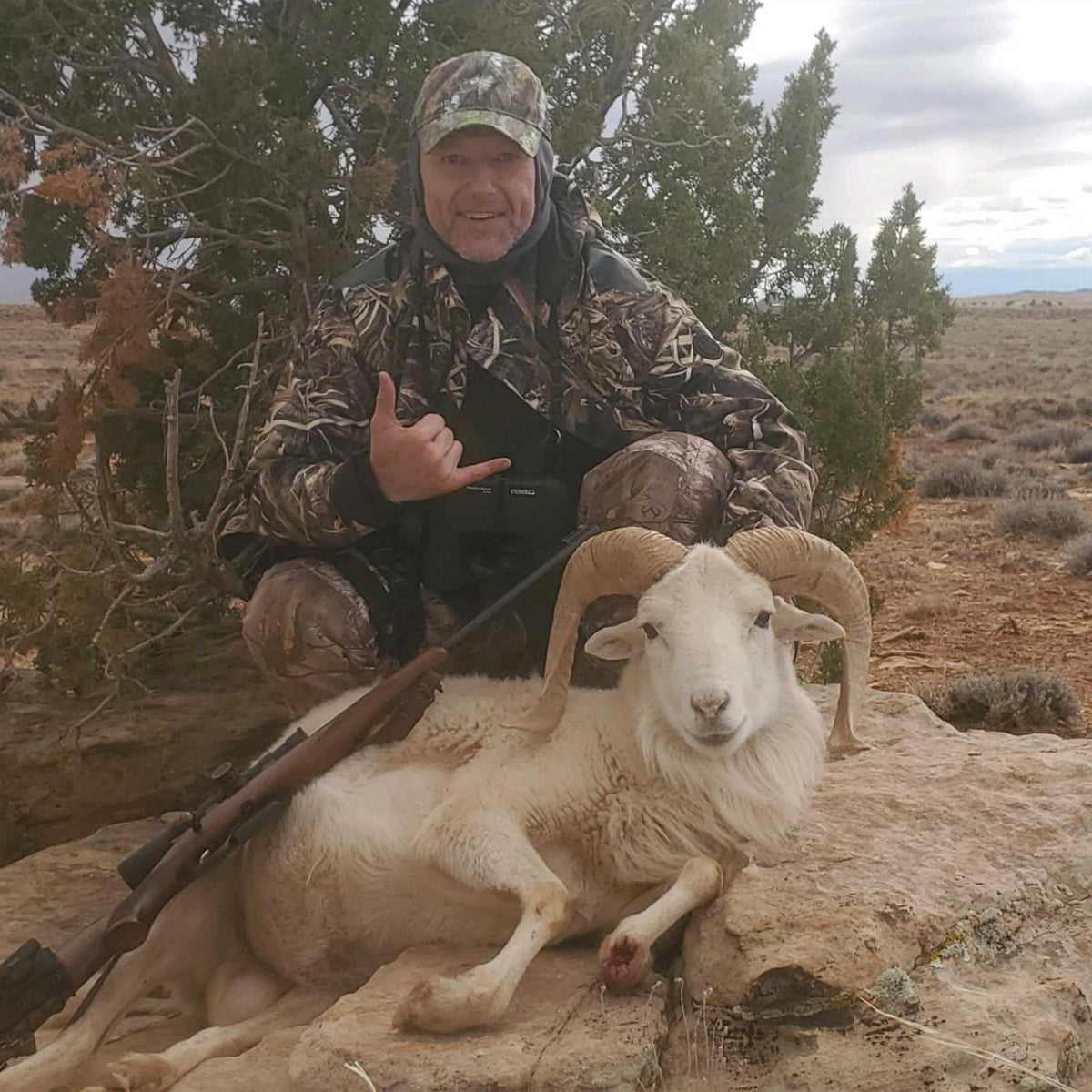 Ram Hunt - Silver – Blue Rooster Hunting Ranch